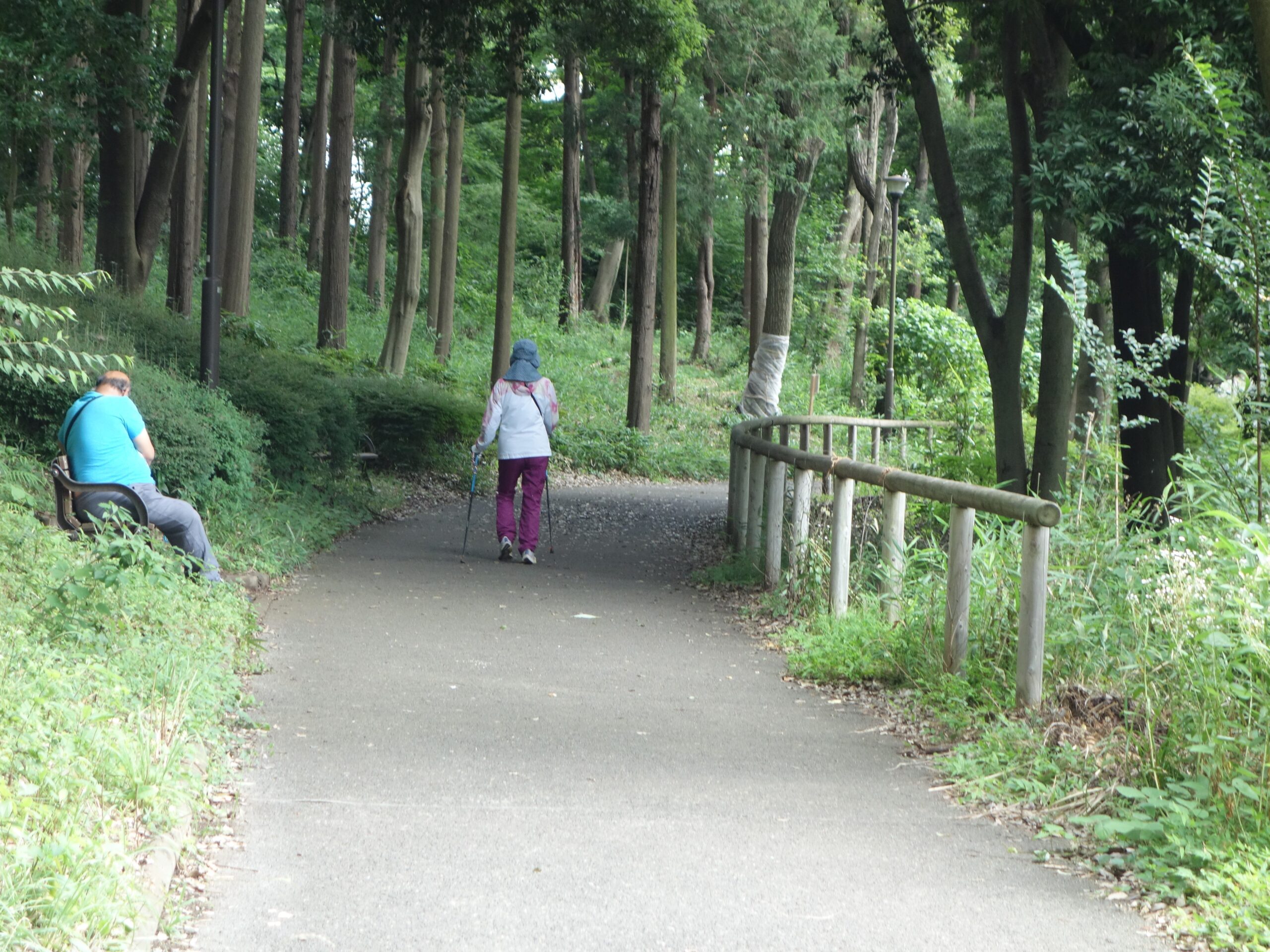 同居していた90歳の母と62歳の息子。昨年4月、母は自宅で「凍死」。息子は法廷で涙した 47newsから ゆきのべる